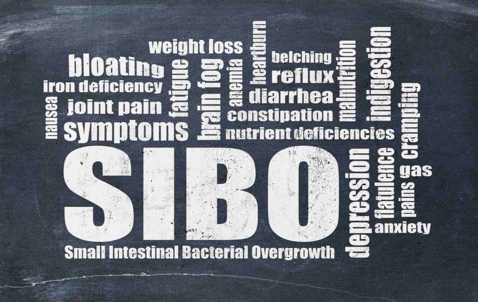 Natural SIBO Treatment Protocols That Actually Work – Qi Supplements