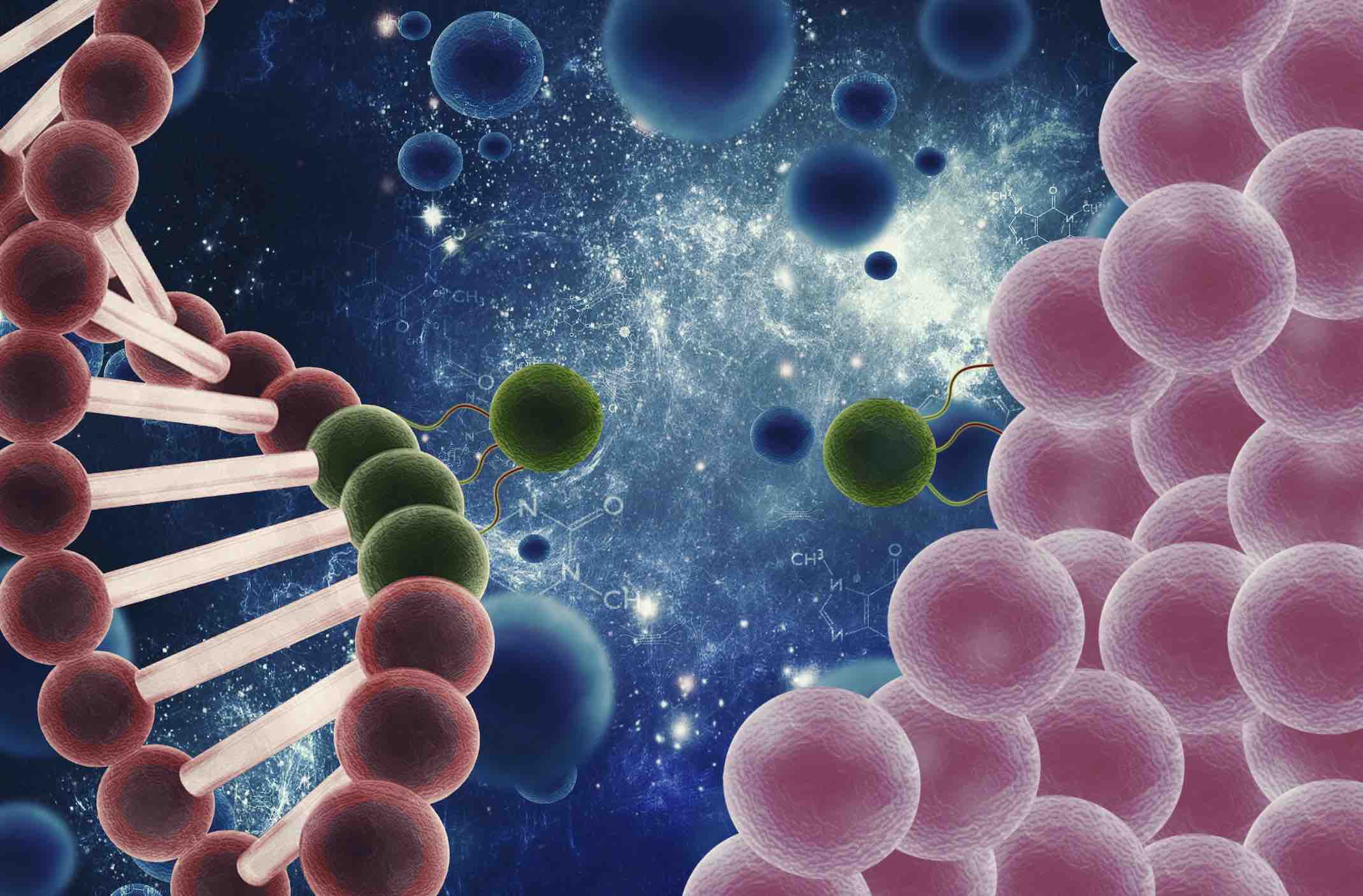 Cell repair vitamins – Qi Supplements