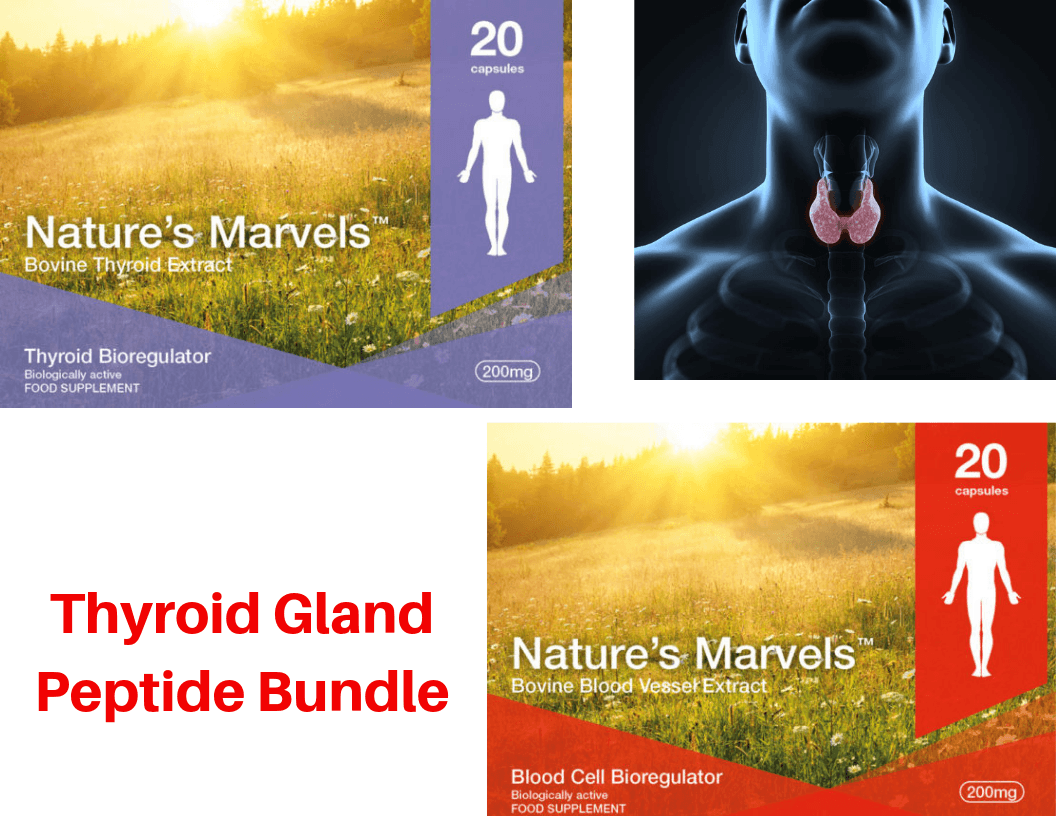 Thyroid gland Peptide Bundle - A-2 Thyreogen A-3 Ventfort – Qi Supplements