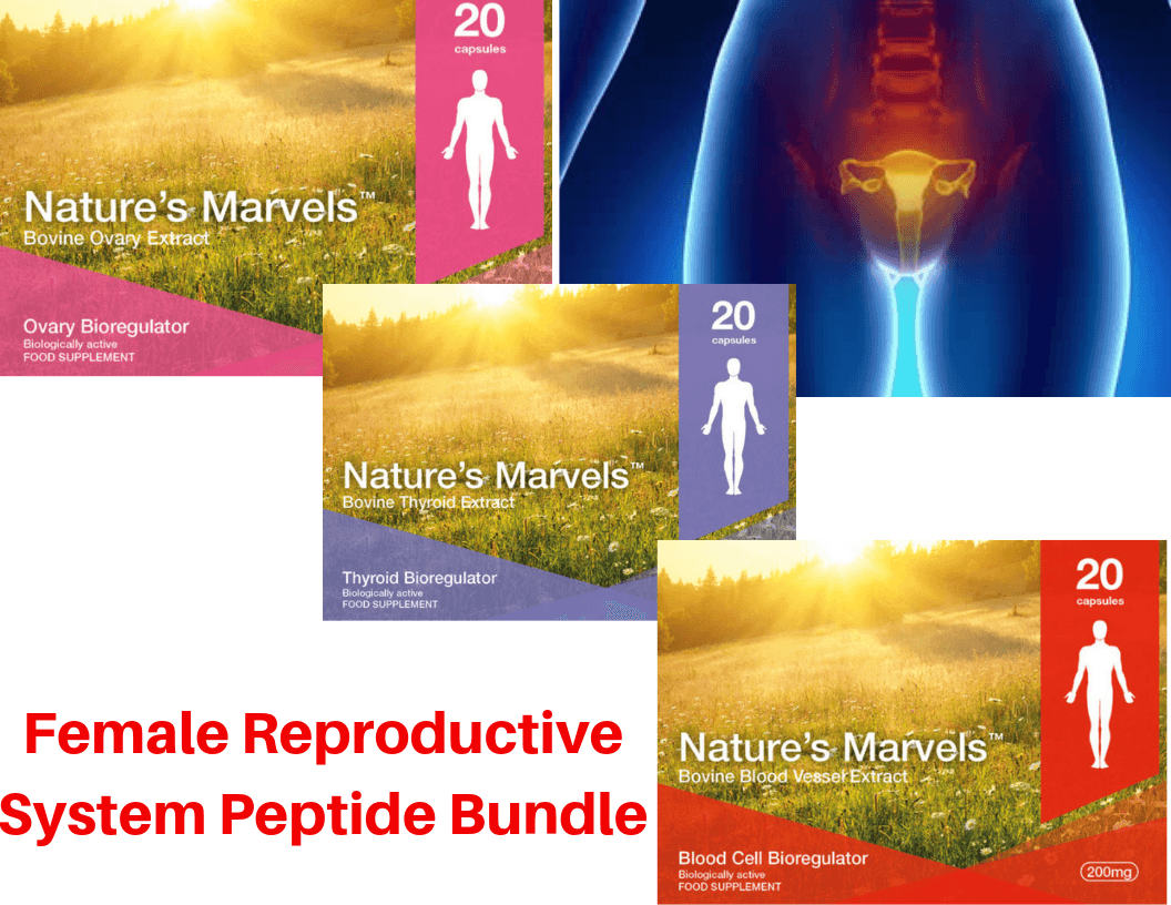 Female reproductive system Peptide Bundle- A-15 Zhenoluten A-2 Thyreog ...